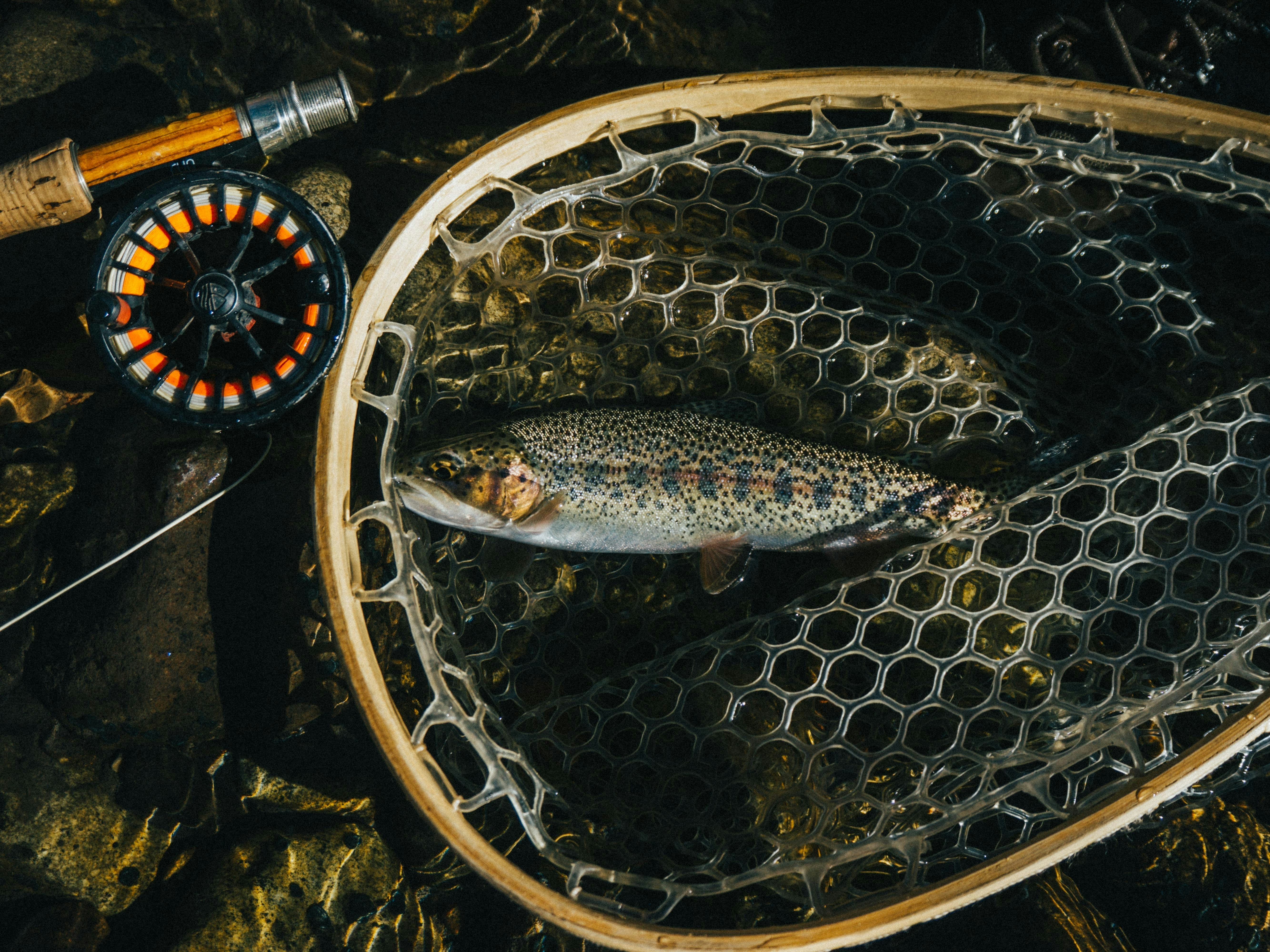 Fishing Tackle & Gear – Page 3 – Wld Summit